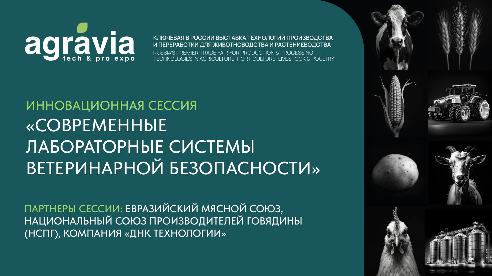 Инновационная сессия «СОВРЕМЕННЫЕ ЛАБОРАТОРНЫЕ СИСТЕМЫ ВЕТЕРИНАРНОЙ БЕЗОПАСНОСТИ»