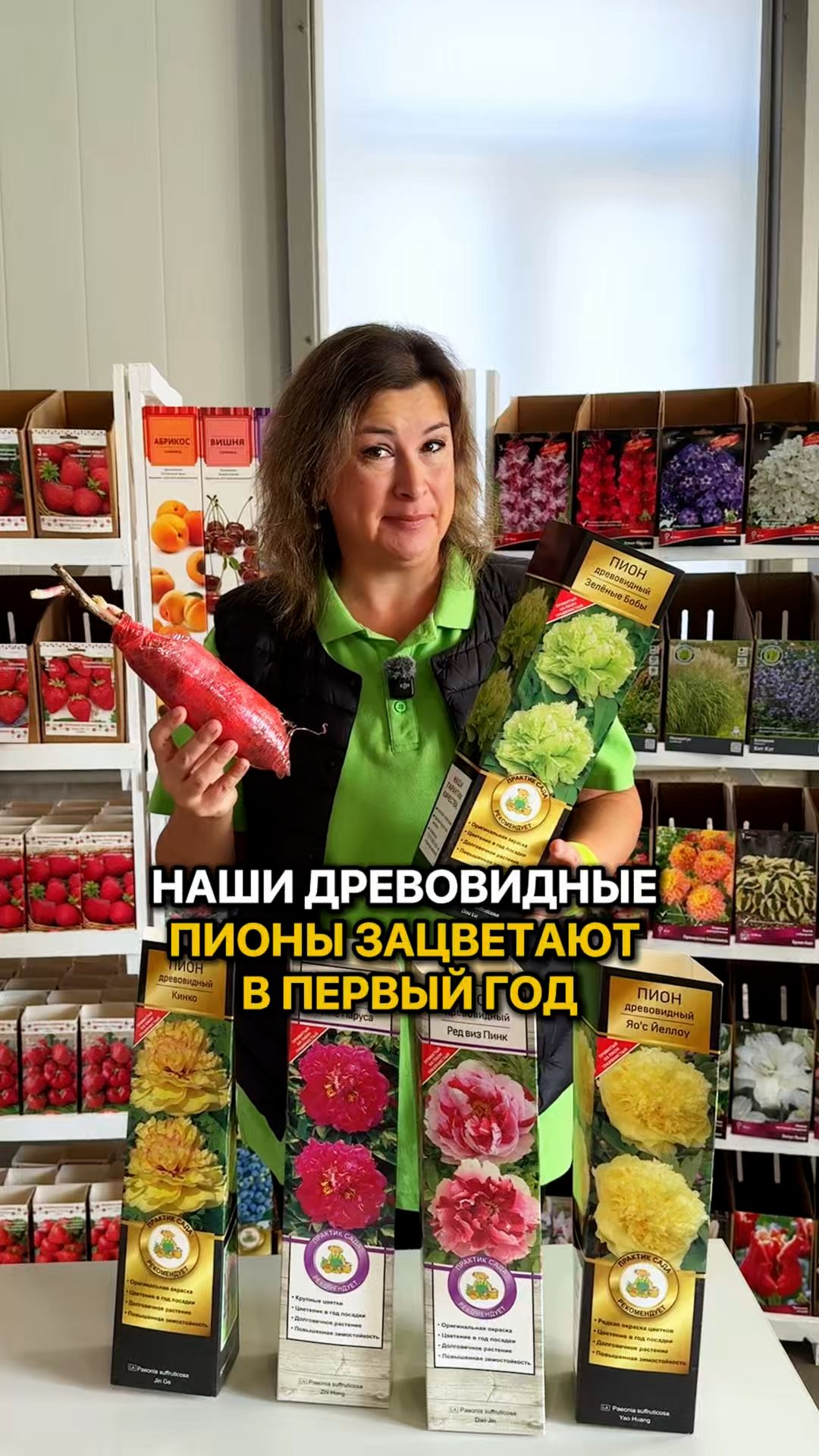 Эти пионы зацветают В ПЕРВЫЙ ГОД!