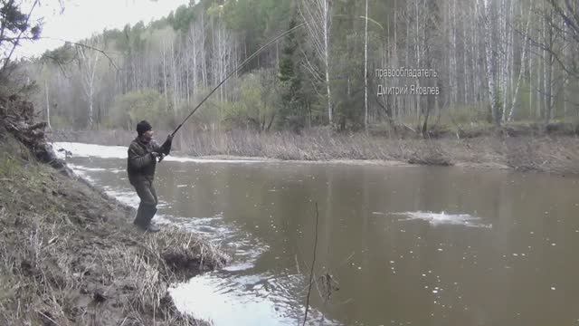 Тайга ХАРИУС ЛОМАЕТ УДОЧКУ Рыбалка Охота Сибирь Бушкрафт Евгений Федорович Рыбалка на поплавок Папа