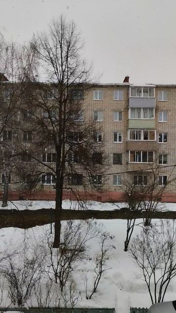 PXL_20260304_150611178