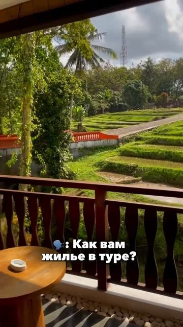 Отзыв о туре на Бали