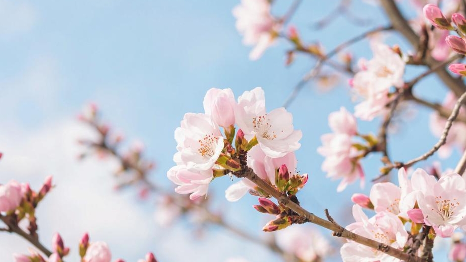 Весна пришла.