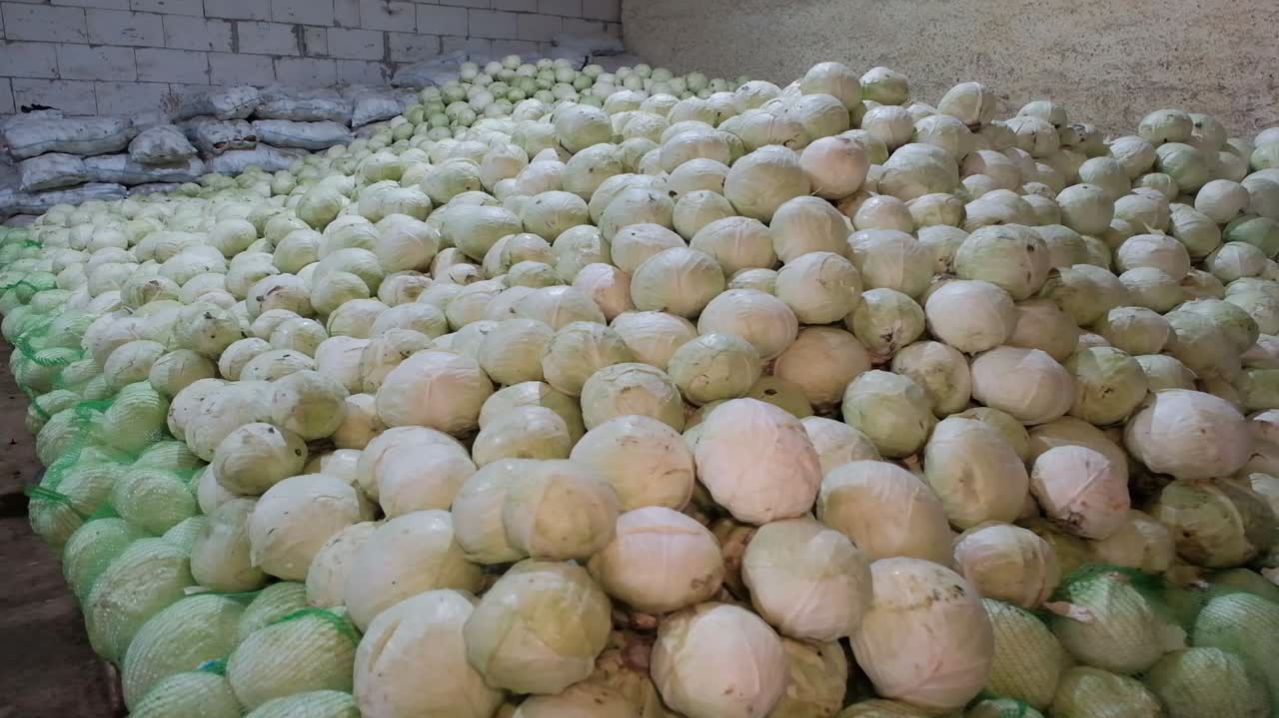 В школьную столовую прямо с поля