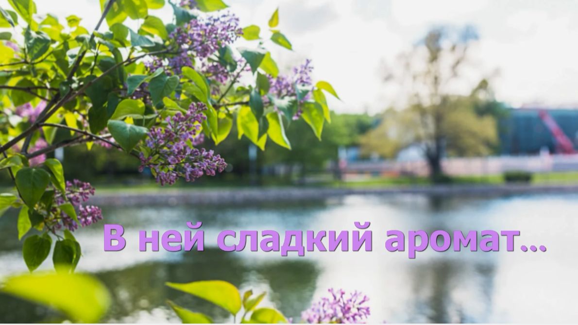 Пусть весна улыбается...