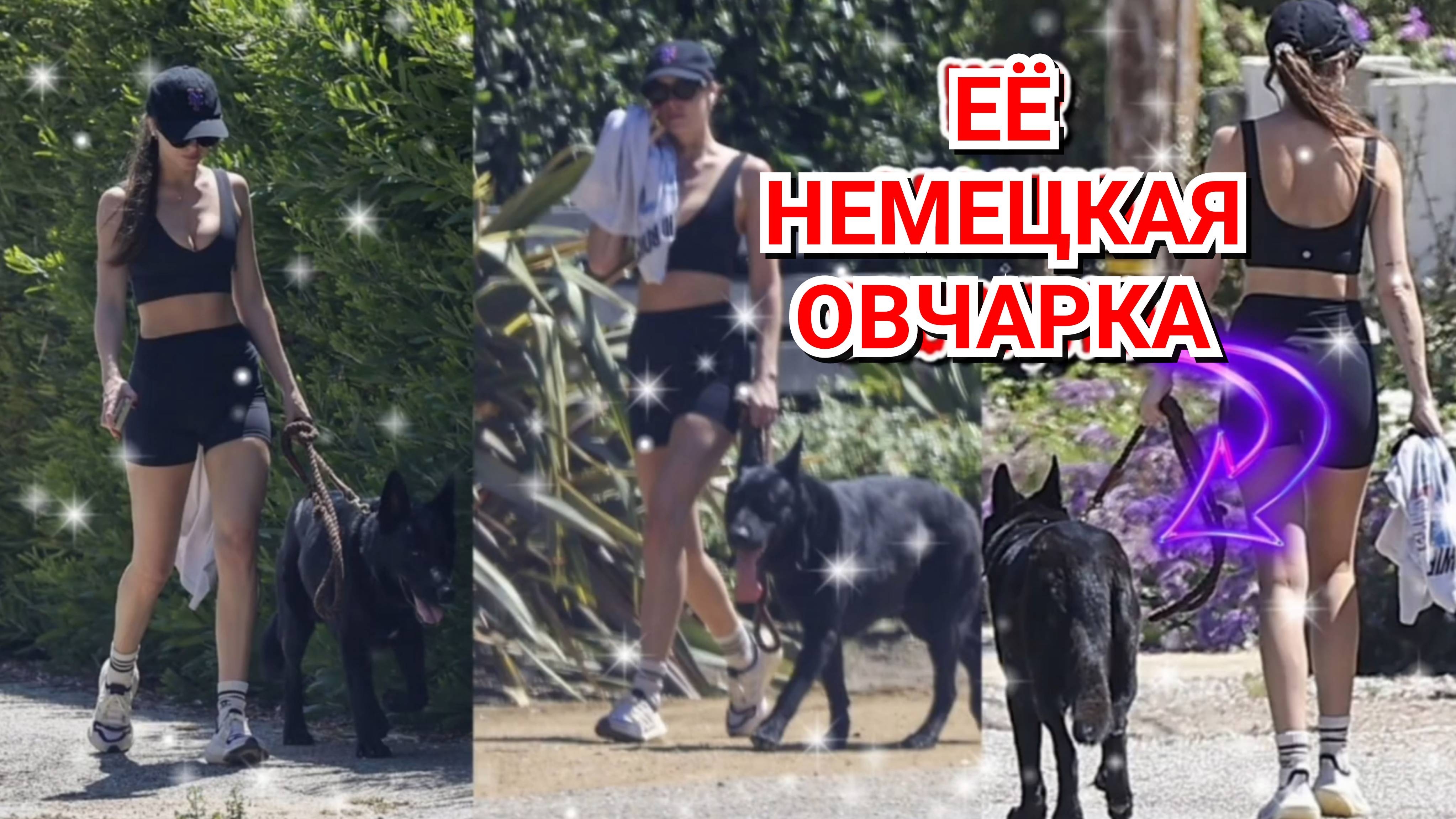 🥰 ДАКОТА ДЖОНСОН НА ПРОГУЛКЕ СО СВОЕЙ НЕМЕЦКОЙ ОВЧАРКОЙ 🫶 2024