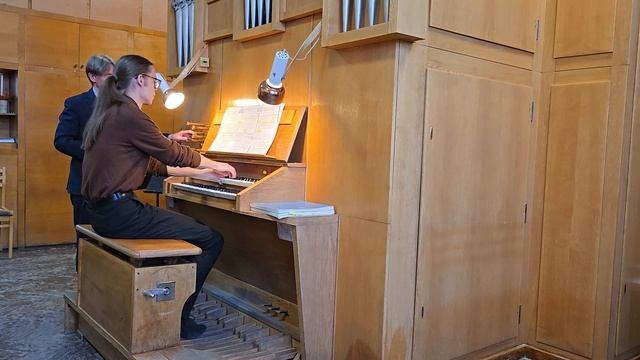 Макс Регер, токката ре минор, орган