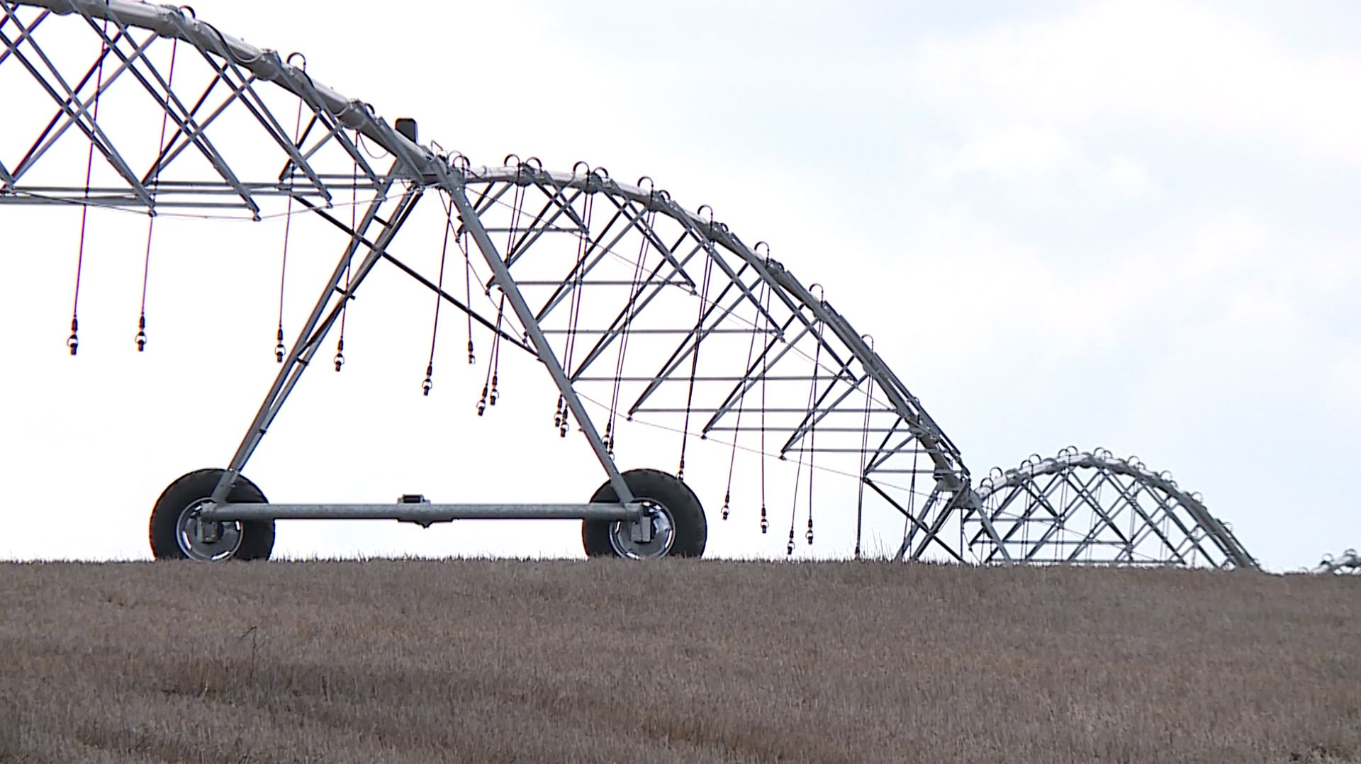 Мелиорация помогает ставропольским аграриям выращивать сельскохозяйственные культуры