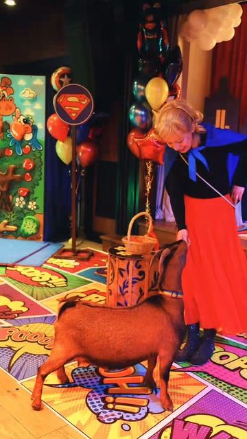 Суперпрограмма с Супергероями