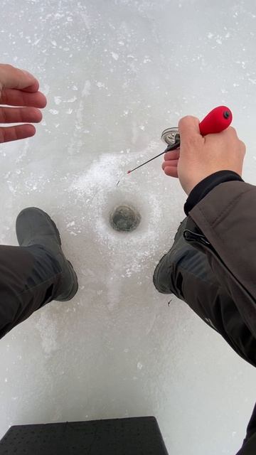 Как ловить на чертик _ #рыбалка #fishing #зимняярыбалка #подпишись #рыба