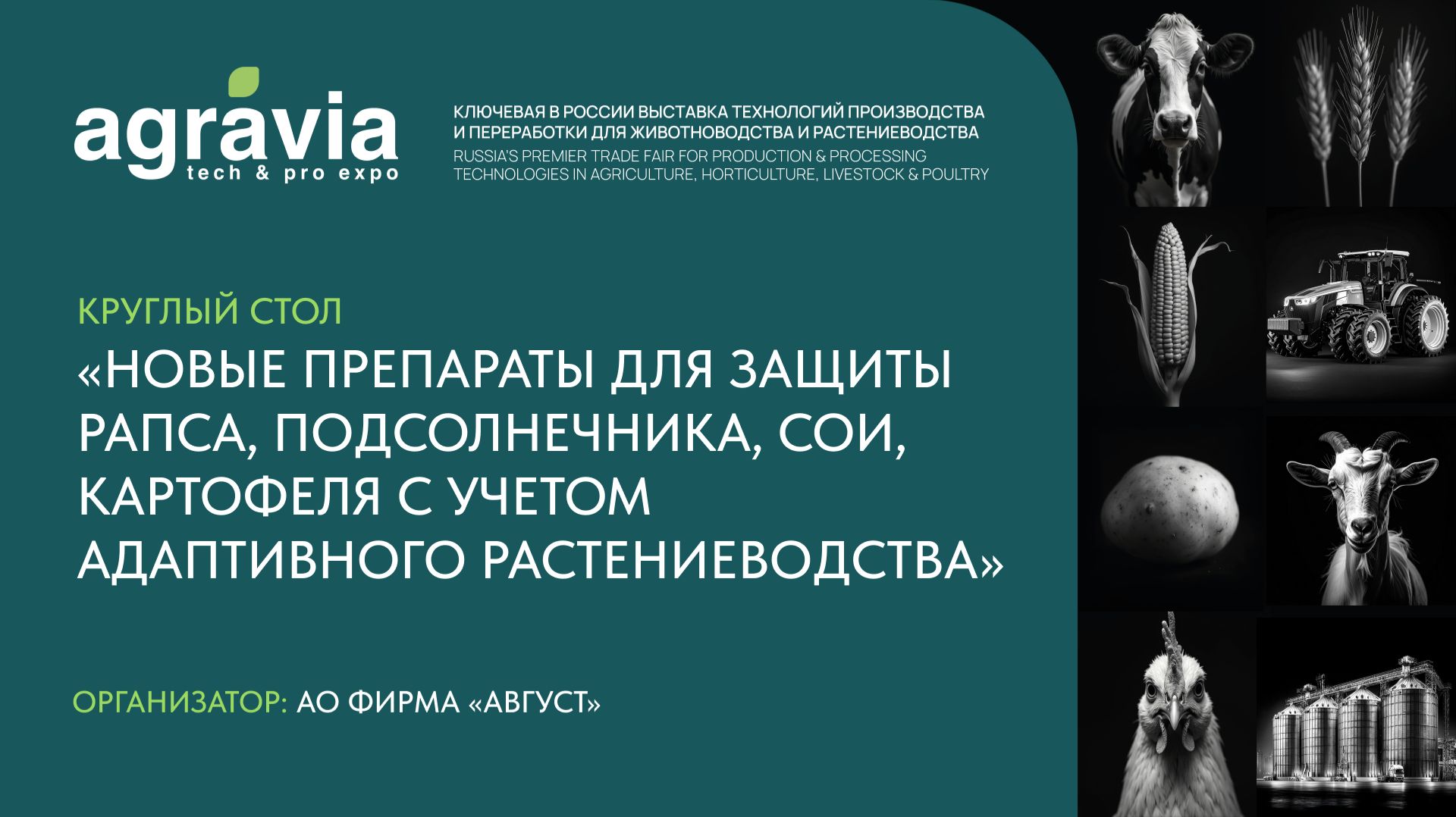 Круглый стол «НОВЫЕ ПРЕПАРАТЫ ДЛЯ ЗАЩИТЫ РАПСА, ПОДСОЛНЕЧНИКА, СОИ, КАРТОФЕЛЯ...»