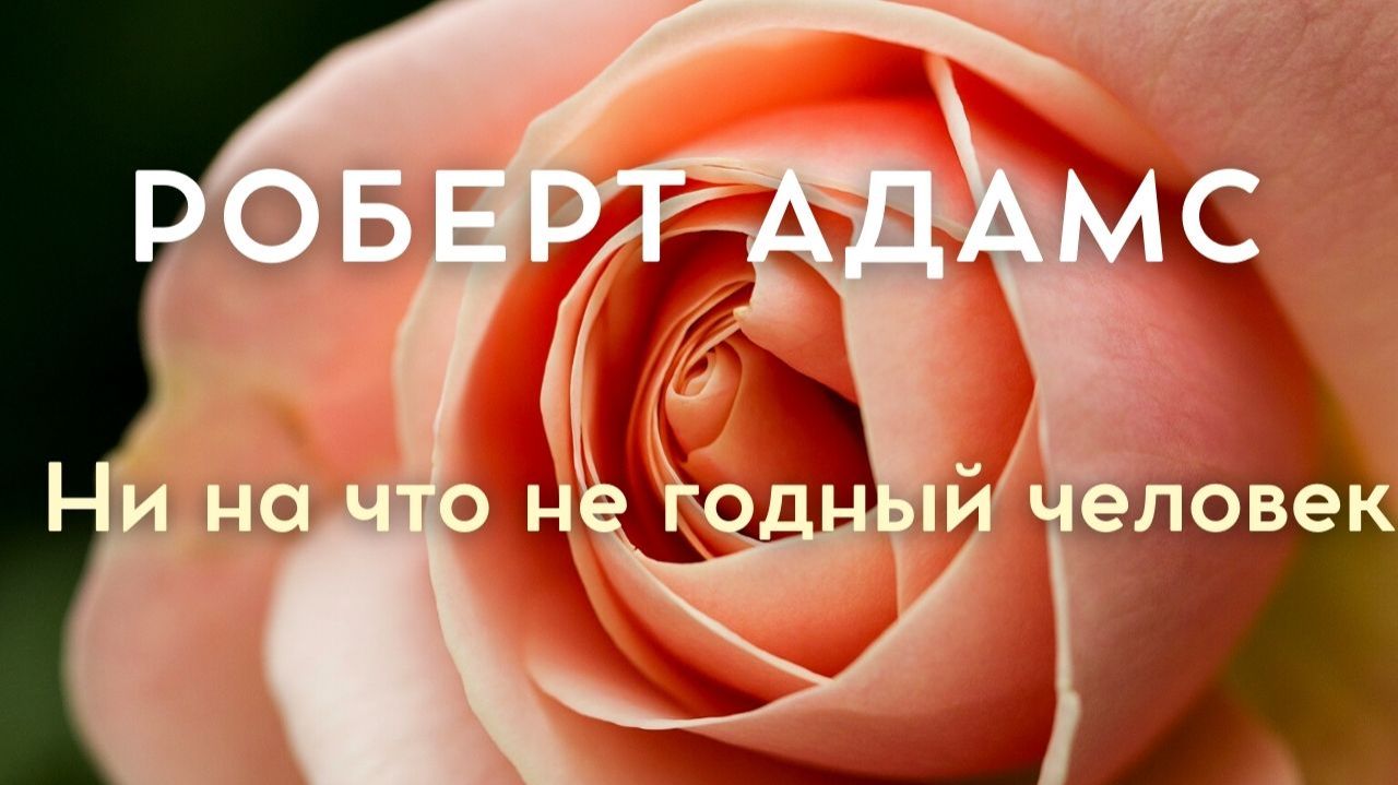 Перестань быть «полезным» — и стань свободным. Роберт Адамс