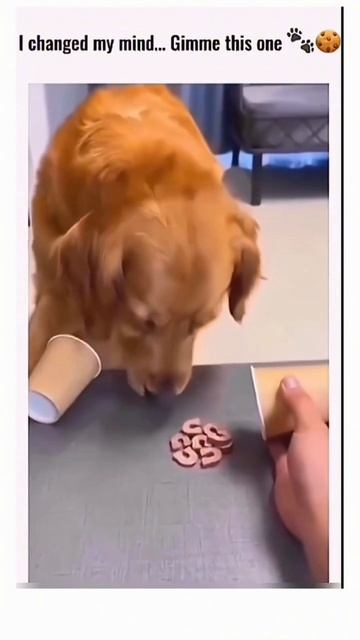 Юмор 5 звезд - #юмор #смешно #ржач #прикол #анекдот #веселоевидео