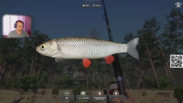 ловим рыбку #RussianFishing4 #рыбалка