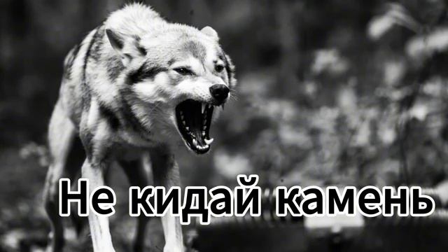 Сколько раз меня пытались переломать...