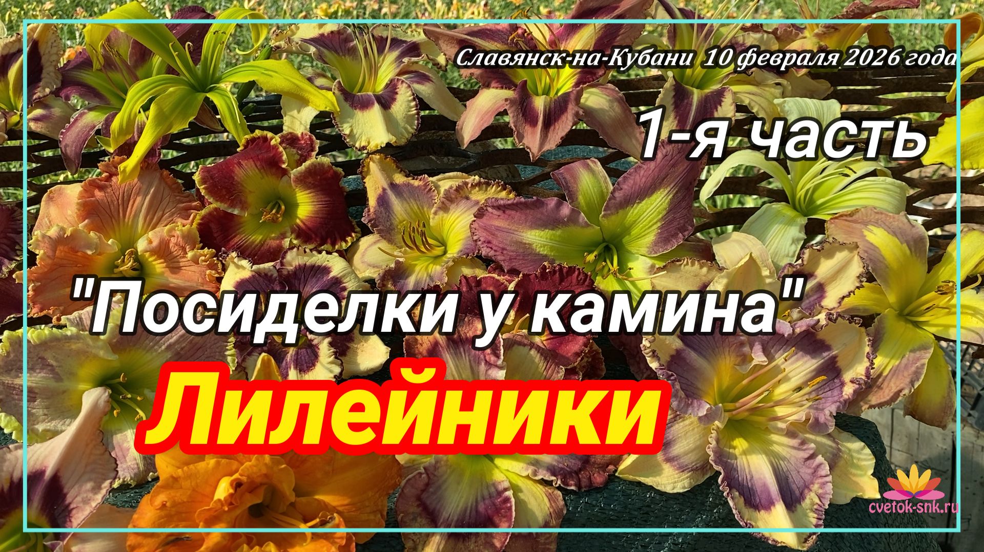 ЛИЛЕЙНИКИ Посиделки у камина 1 часть 10 февраля 2026/САД ВОРОШИЛОВОЙ