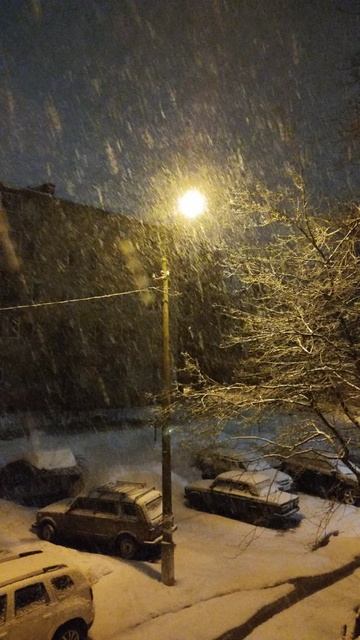 PXL_20260305_060658636