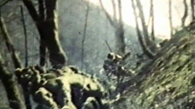 Жаль кончаются быстро слеты Душанбе 1988 Мачкарин В