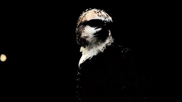 Одиночество