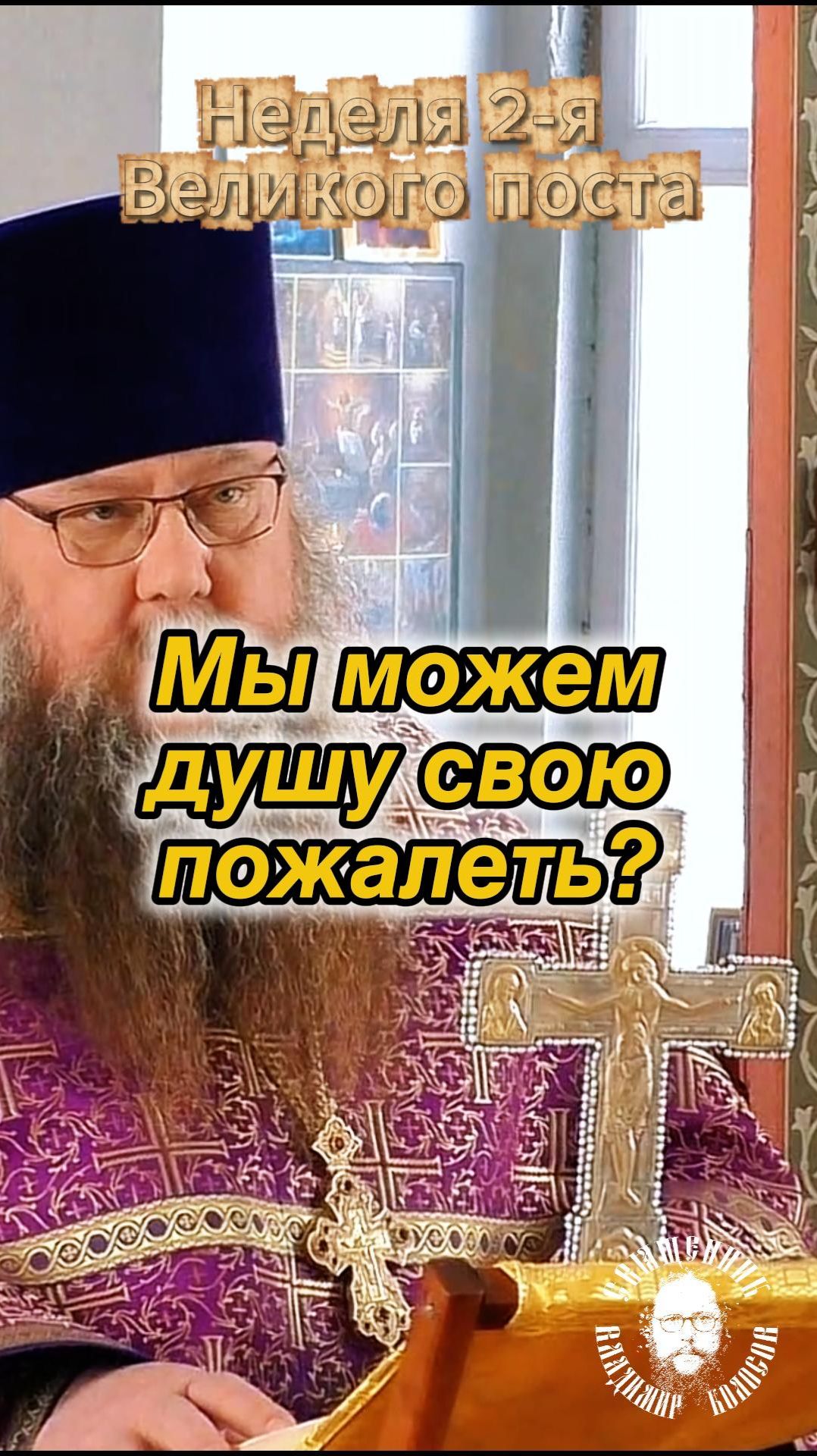 Мы можем душу свою пожалеть?