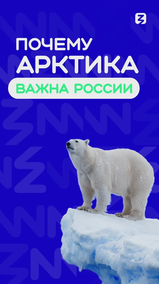Почему Арктика — стратегическое будущее России и как живут люди за Полярным кругом?