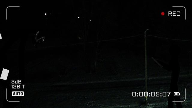 camera.kill.face.police (с эффектом)