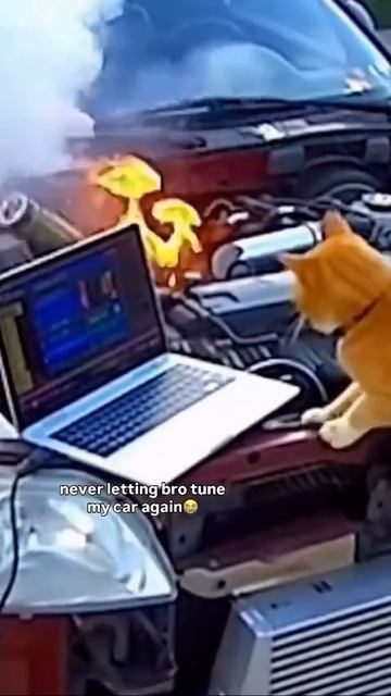 Что-то случилось 🥺