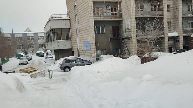 Навигатор завёл не туда. Поездка в управляющую компанию. Дневник за 5 марта