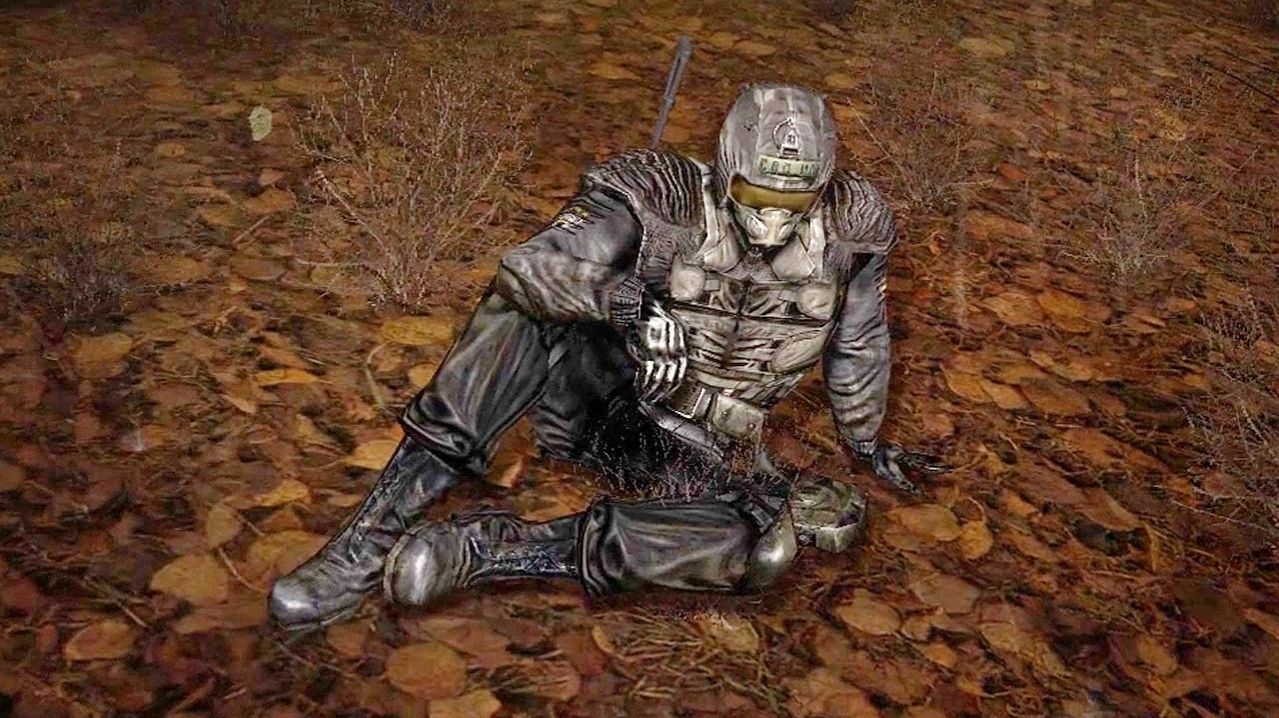 Безумный Рыжий Лес - STALKER NLC 6 #26