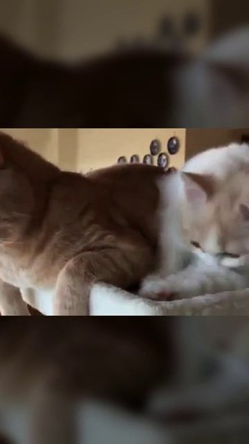 Нужно внимание