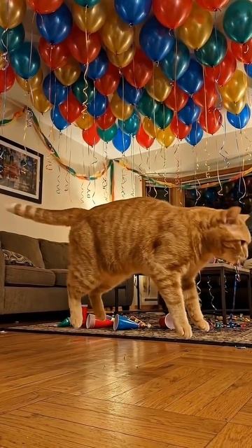 Юхуу взлетаем 🛫🛫🛫