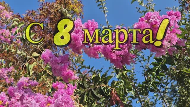 8 Марта в разгаре Поздравления от души поздравляю тебя!