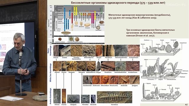 Журавлев А.Ю. - Основы палеонтологии - 3. Морские сообщества эдиакарского периода