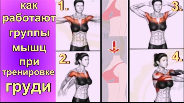 4 Упражнения для укрепления Груди!