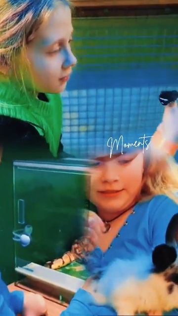 Лайк Крошки