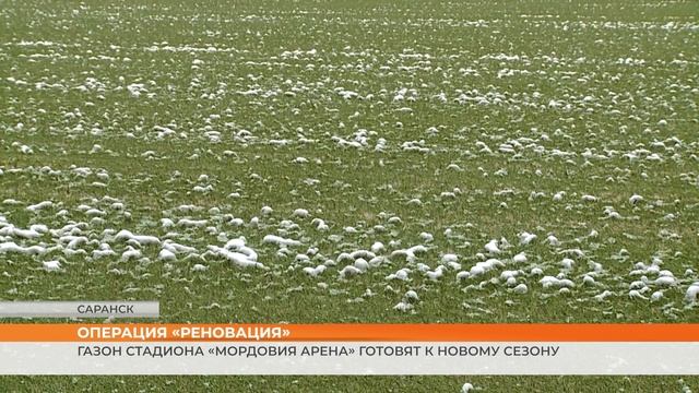Реновация газона «Мордовия Арены»