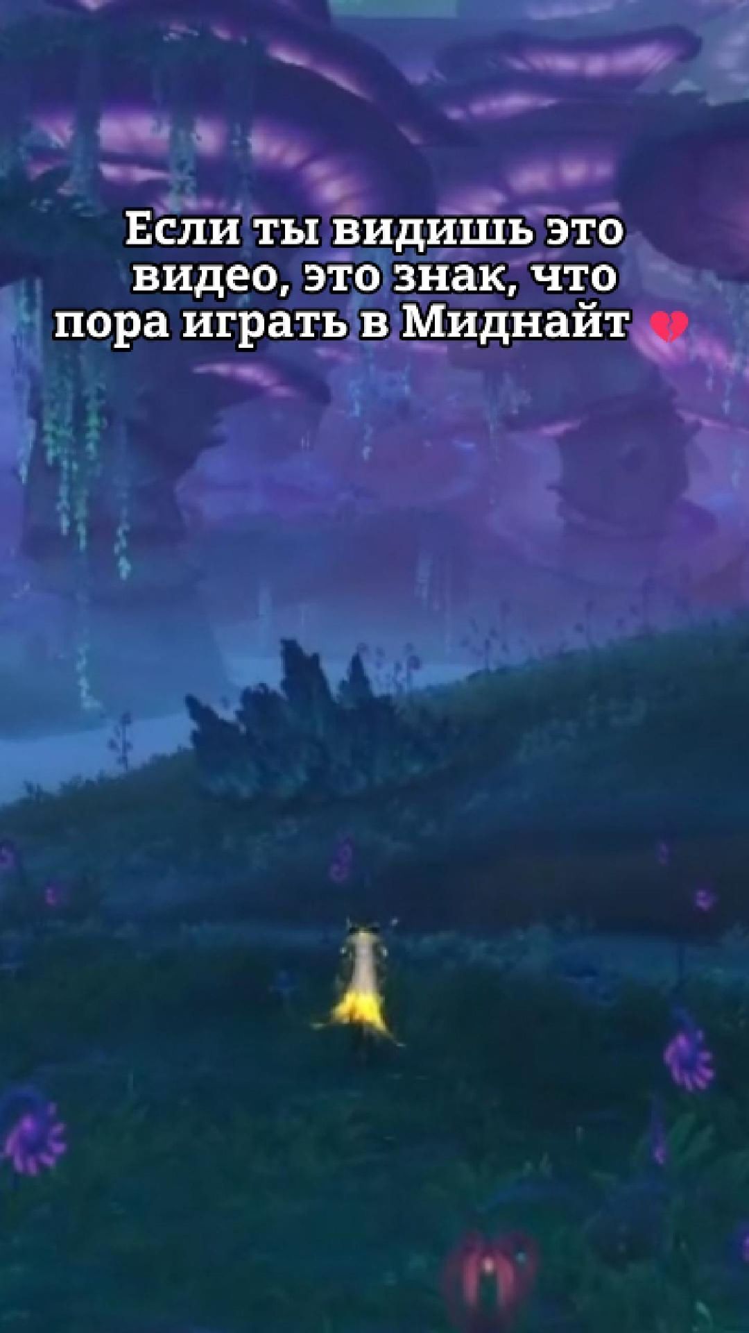 Если ты видишь это видео....