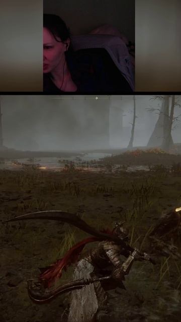 Красивый вид впереди #shorts #eldenring