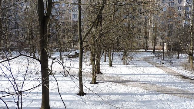 Вид из окна. Первые дни весны 2026.