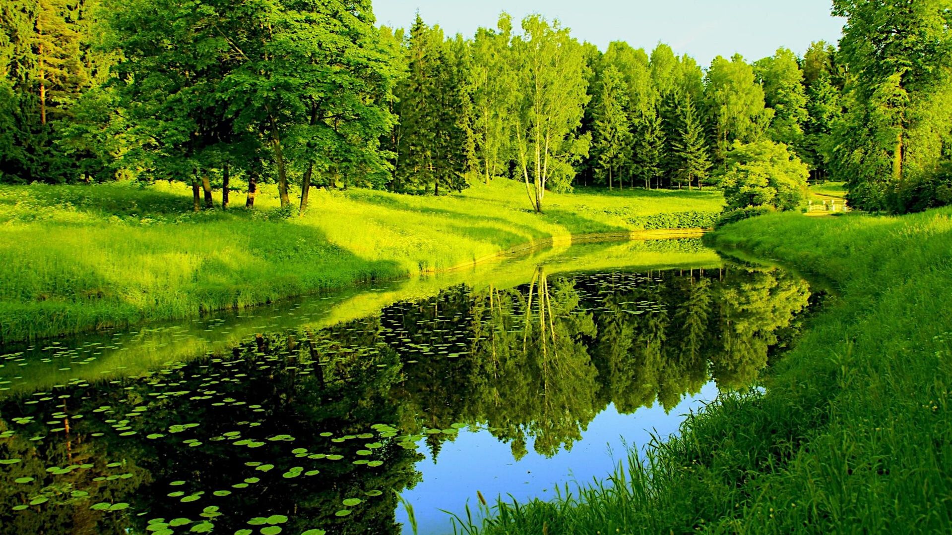 Solitude - AShamaluevMusic