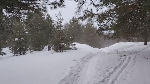Подушка финансовой безопасности. Почему и каким образом необходимо ее формировать?