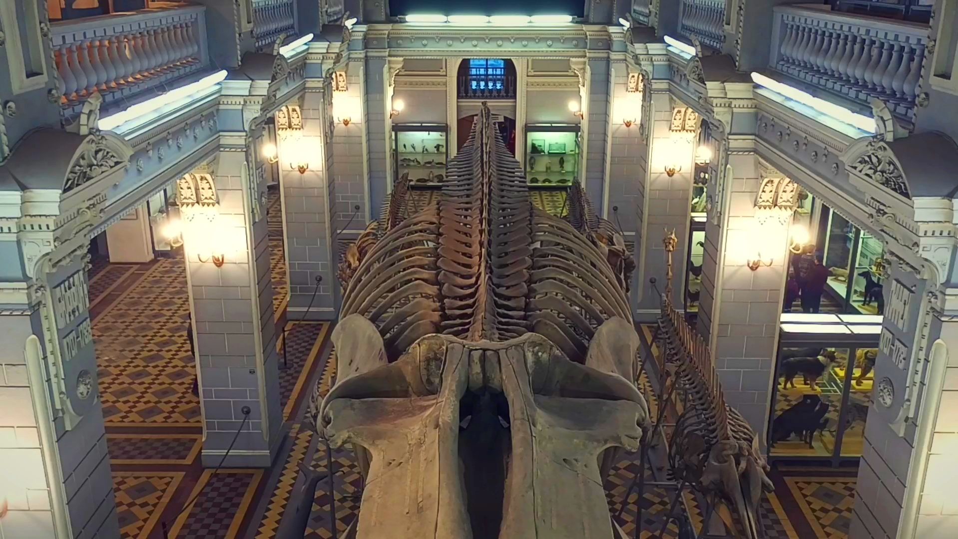 ЗИМА - ПЕТЕРБУРГ - МУЗЕИ (3)