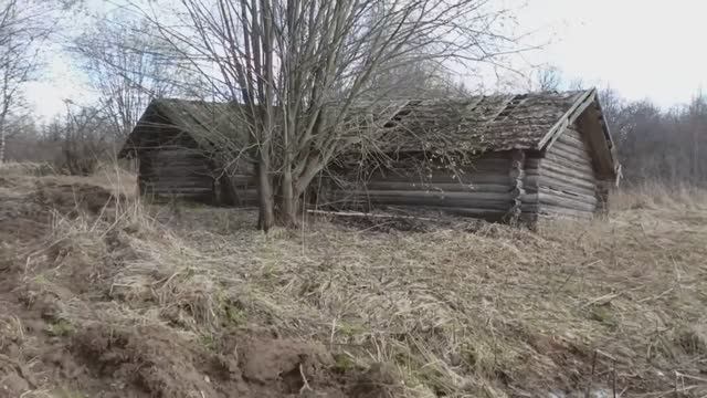 Нашёл миллионы долларов в старом сарае! Хозяева об этом не знали! )))