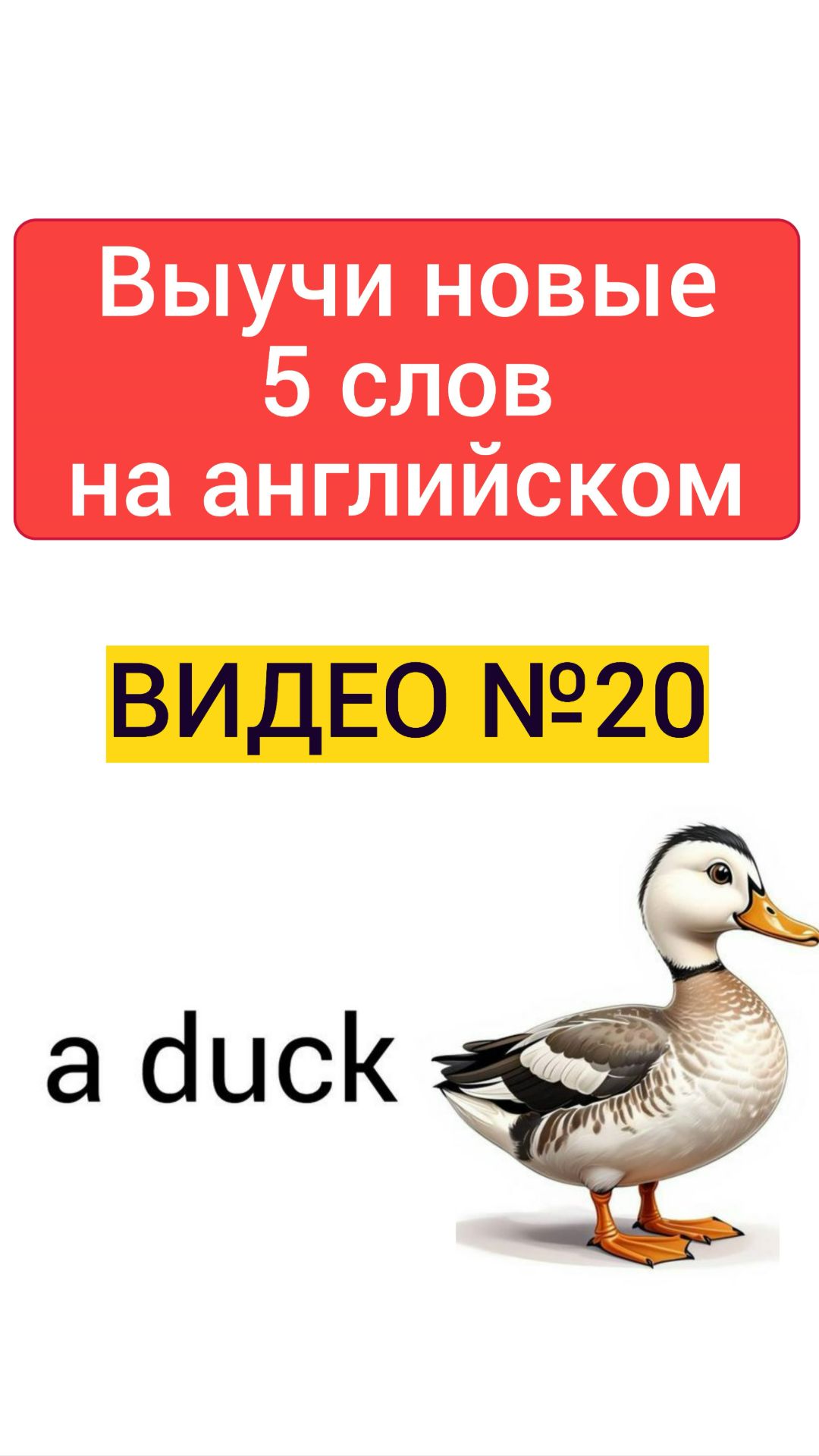 Учим 5 слов на английском языке — видео №20