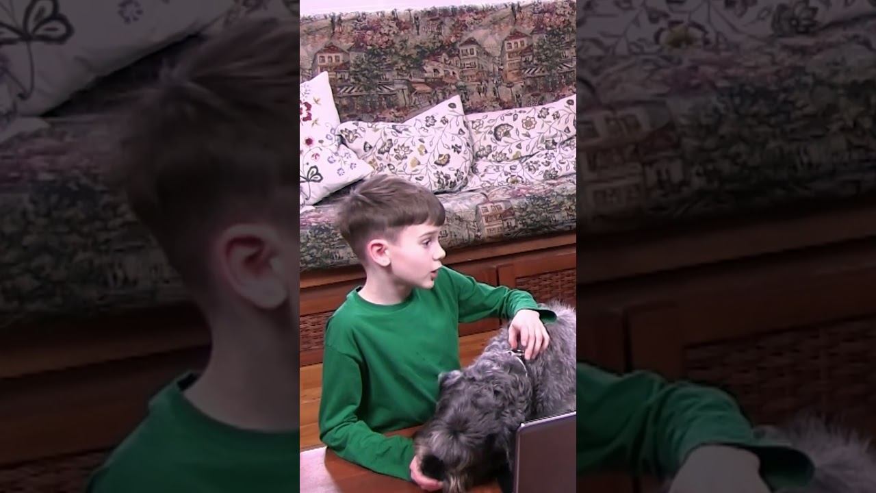 Собачий код. Часть 2.  Shorts