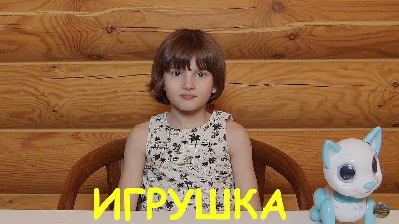 Игрушка