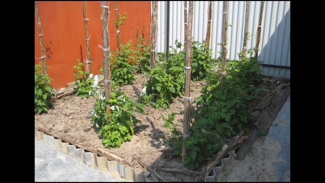 2010.06.11-20 Былино ч2.mp4