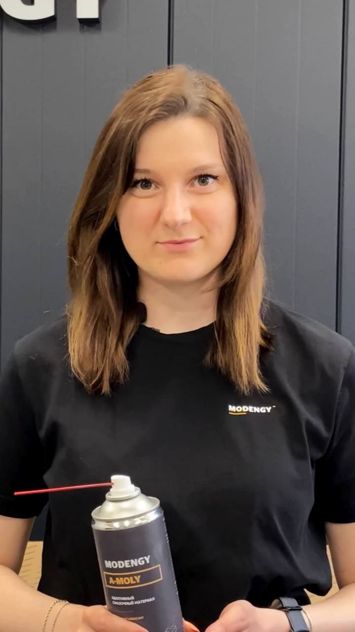 Сухая смазка с дисульфидом молибдена MODENGY A-MOLY. Состав и свойства