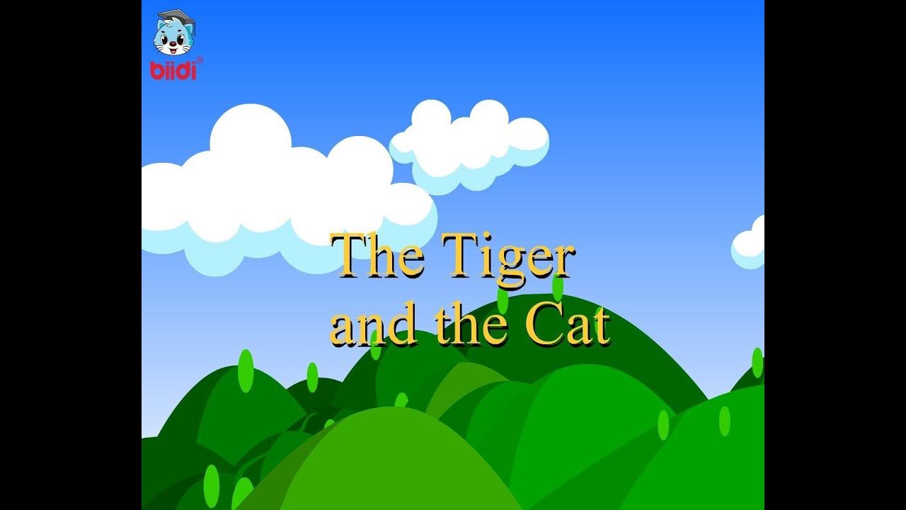 The Tiger and the Cat