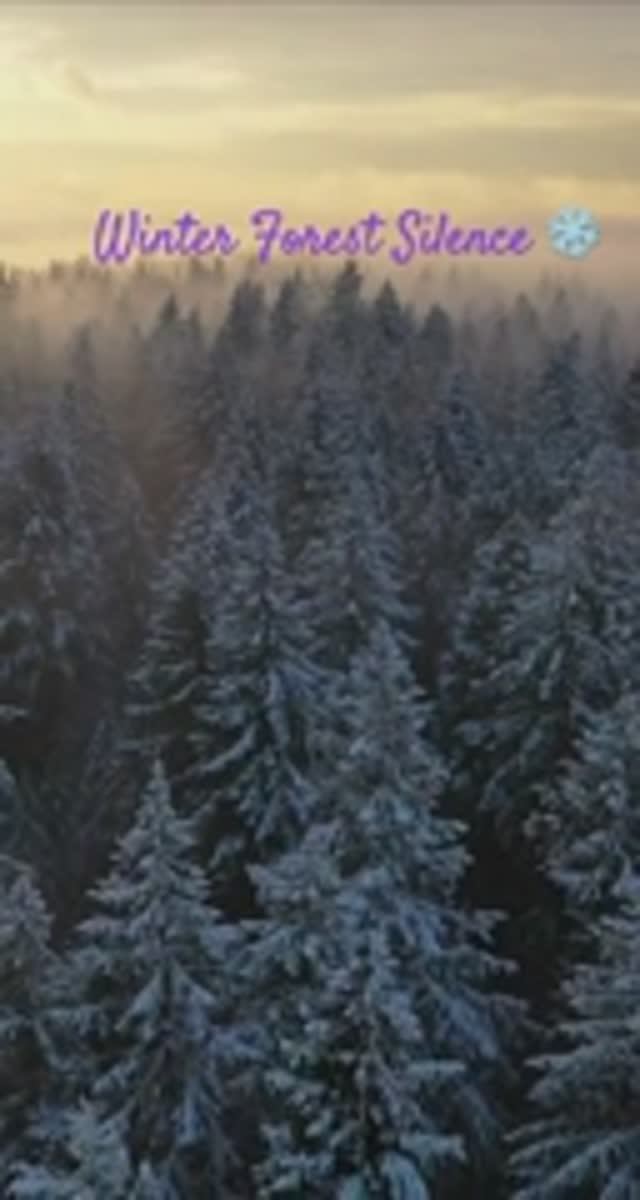 30 секунд тишины зимнего леса с высоты дрона ❄️
