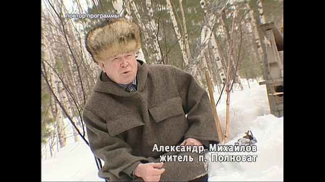 Трое, не считая кота в деревне